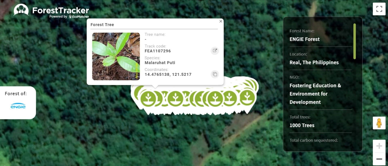 ENGIE expands its biodiversity commitments through EcoMatcher’s tree planting platform